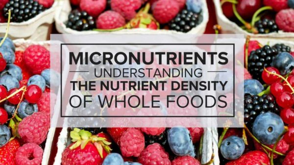 Micronutrients: Understanding the Nutrient Density of Whole Foods