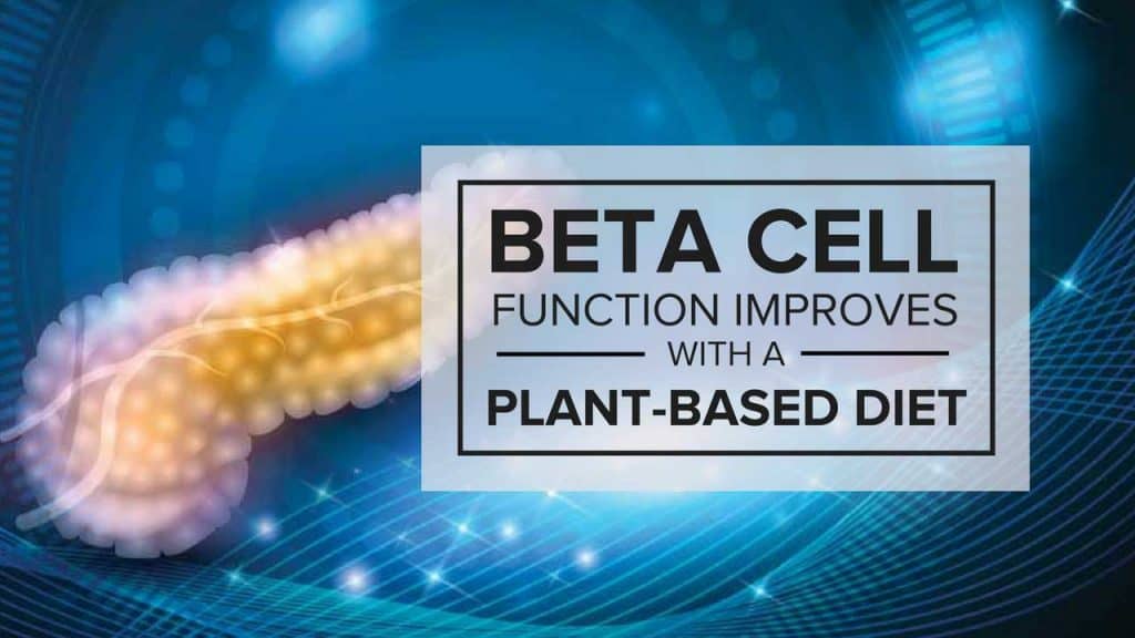 Beta Cell Function Improves with a Plant-Based Diet