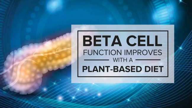 Beta Cell Function Improves with a Plant-Based Diet