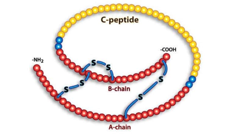 The C-Peptide Test – The Most Important Blood Test for Diabetes